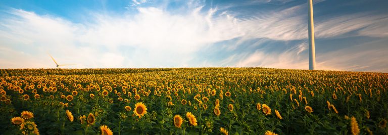 ASEAN Economic - ASEAN’s Road to a Green Economic Recovery